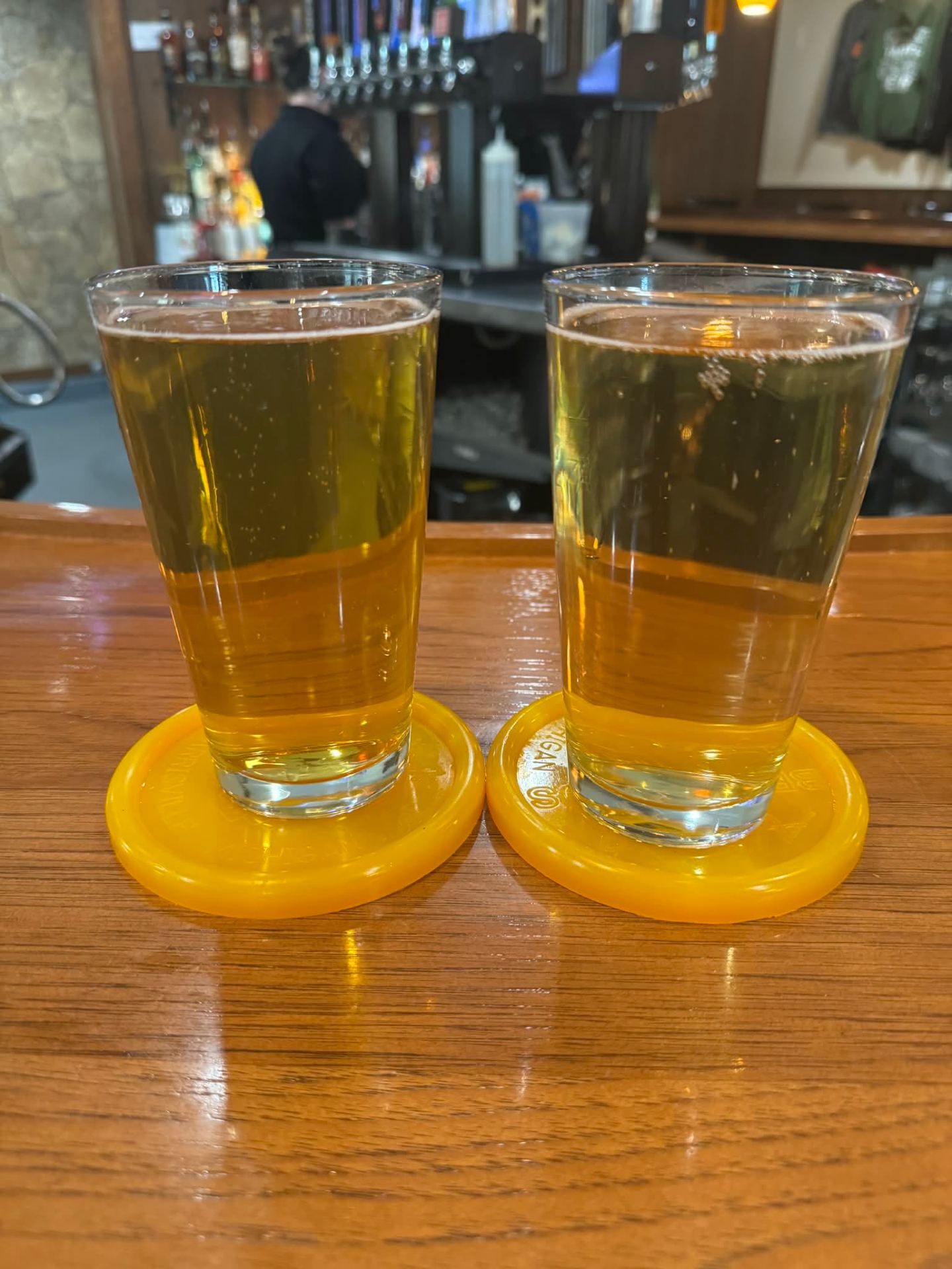 Alcona Brew Haus – Pure Michigan Pints